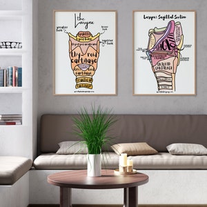 Anatomy & Physiology Larynx: Sagittal Section Labeled Poster | Etsy