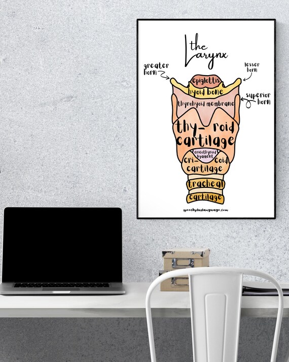 Anatomy & Physiology Larynx Labeled Poster SLP Essential | Etsy