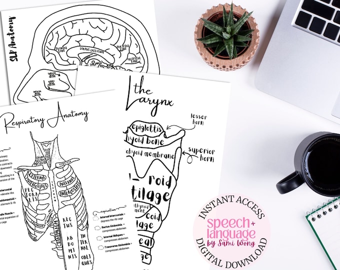 DIY SLP Anatomy Physiology Study Help Coloring Pages Set of 8 Speechie ...