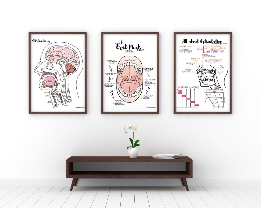Speech Therapy Office Decor Poster Pack - Anatomy & Articulation ...