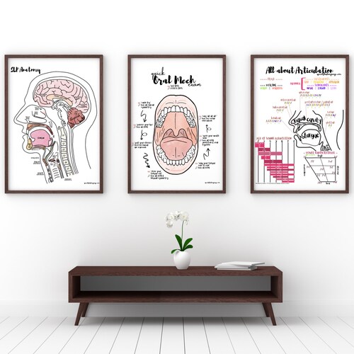 Anatomy Oral Mech & Articulation SLP Labeled Posters Set - Etsy