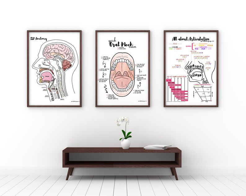 Anatomy Oral Mech & Articulation SLP Labeled Posters Set - Etsy