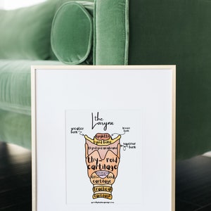 Anatomy & Physiology Larynx Diagram Labeled Posters Set of 2 | SLP ...