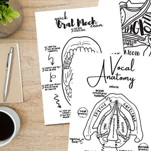 DIY SLP Anatomy + Physiology Study Help Coloring Pages - Set of 8 ...