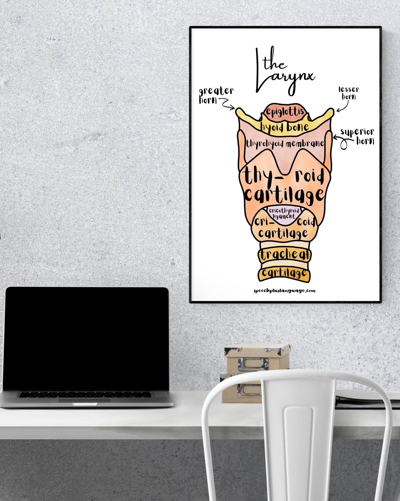 Anatomy & Physiology SLP Labeled Posters Set of 3 Speechie - Etsy