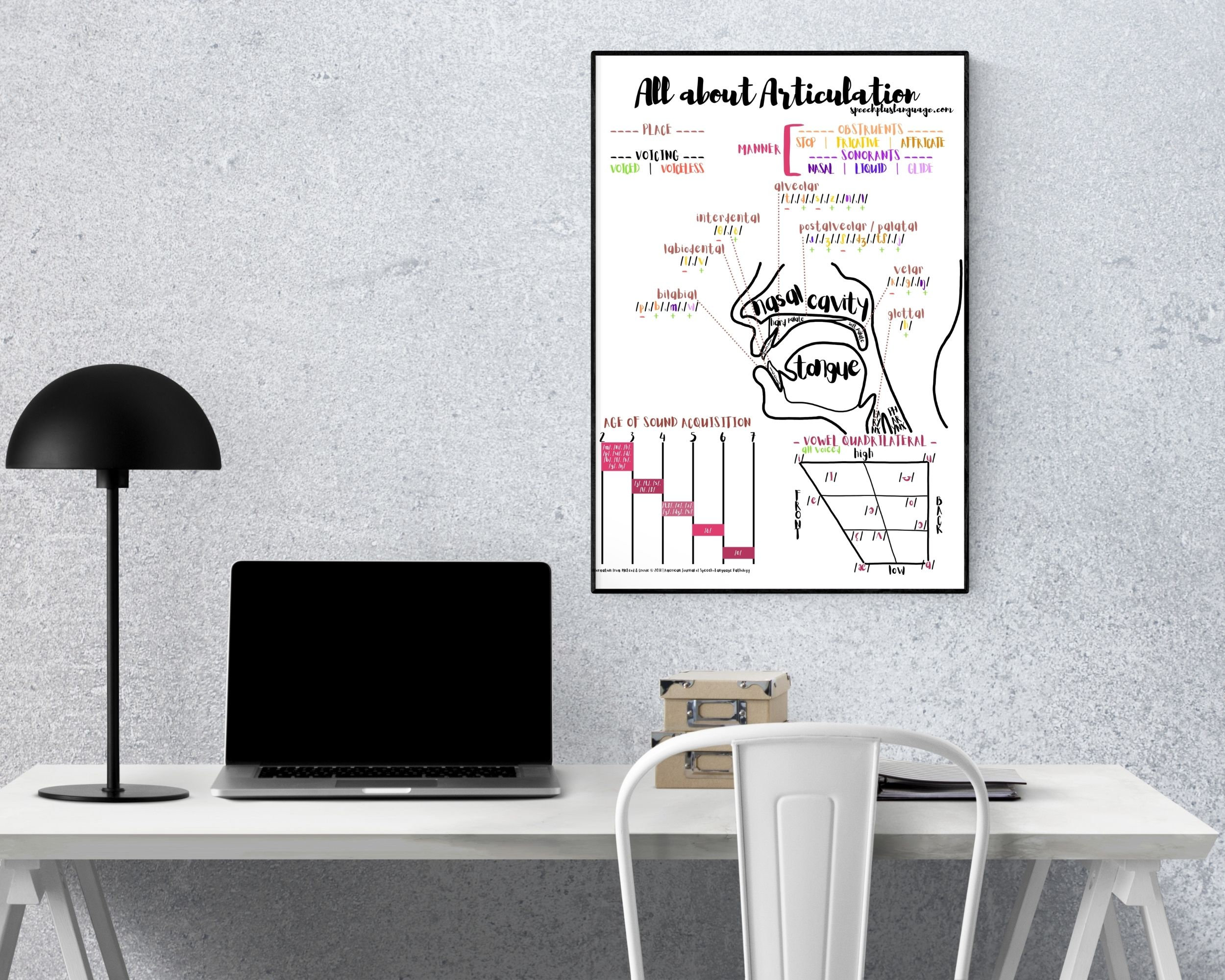 Speech Therapy Anatomy Art Prints - SLP, Larynx, Vocal Anatomy ...
