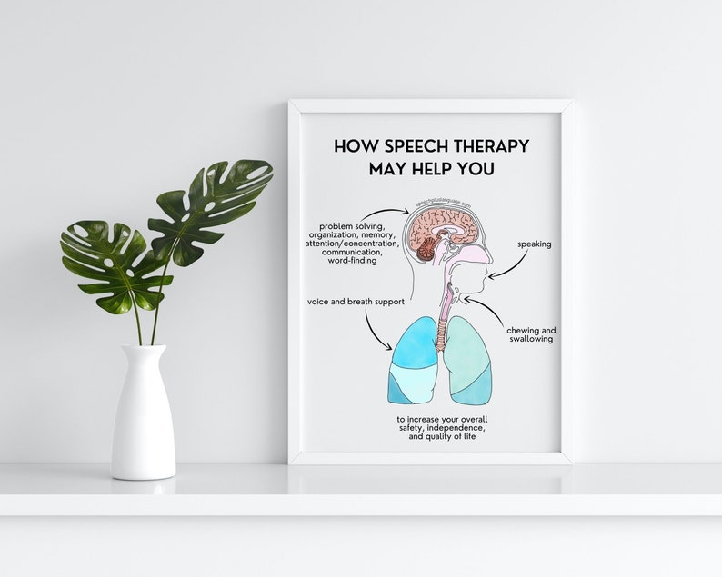 Speech Therapy Patient Handout - SLP Scope of Practice Poster (digital ...
