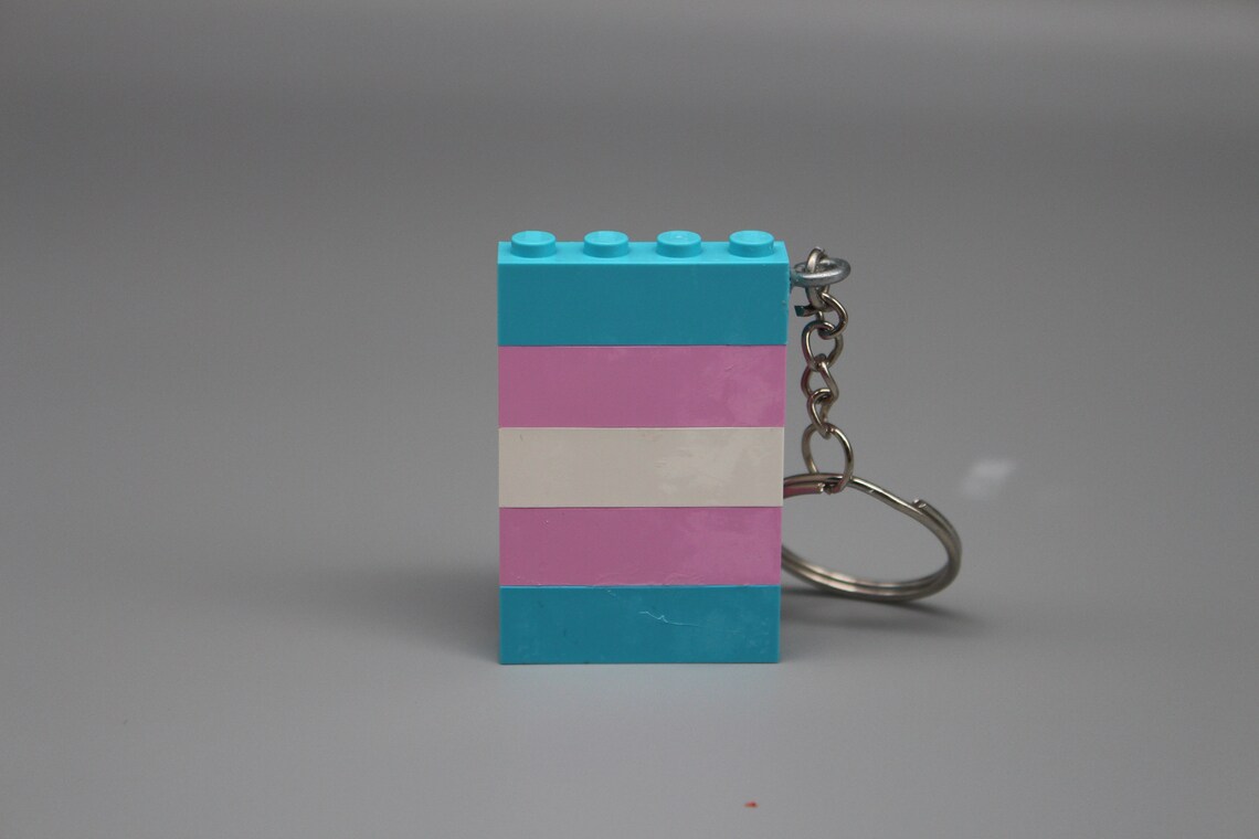 Trans Pride Flag or Pansexual Pride Flag Made From LEGO® | Etsy