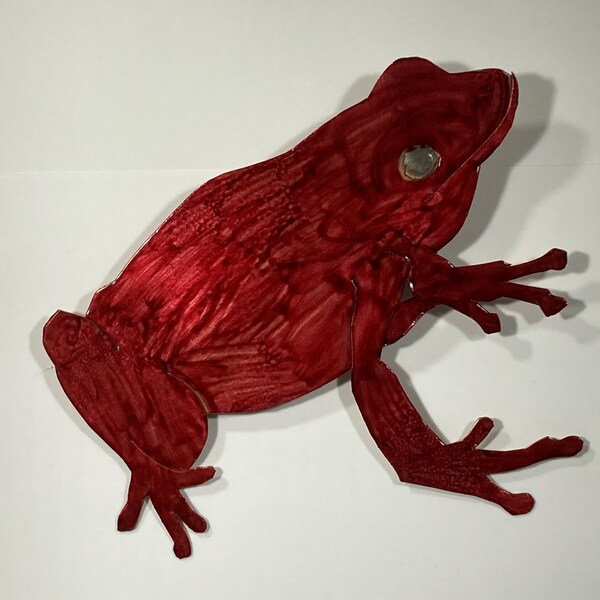 Frog Wall Hanging - Etsy
