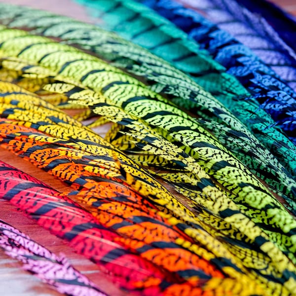 Zebra Feathers - Etsy