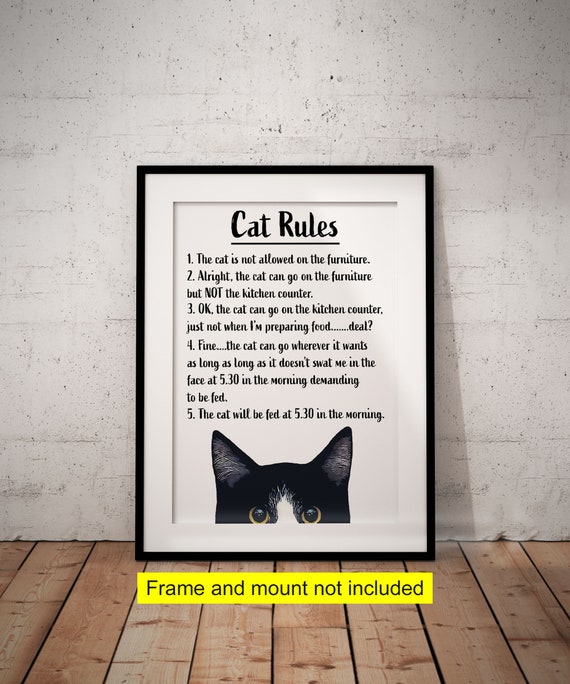 House Rules Fun Black and White Cat With White Background | Etsy