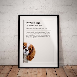 Cute, Fun Blenheim Cavalier King Charles Spaniel Definition Giclée Art ...