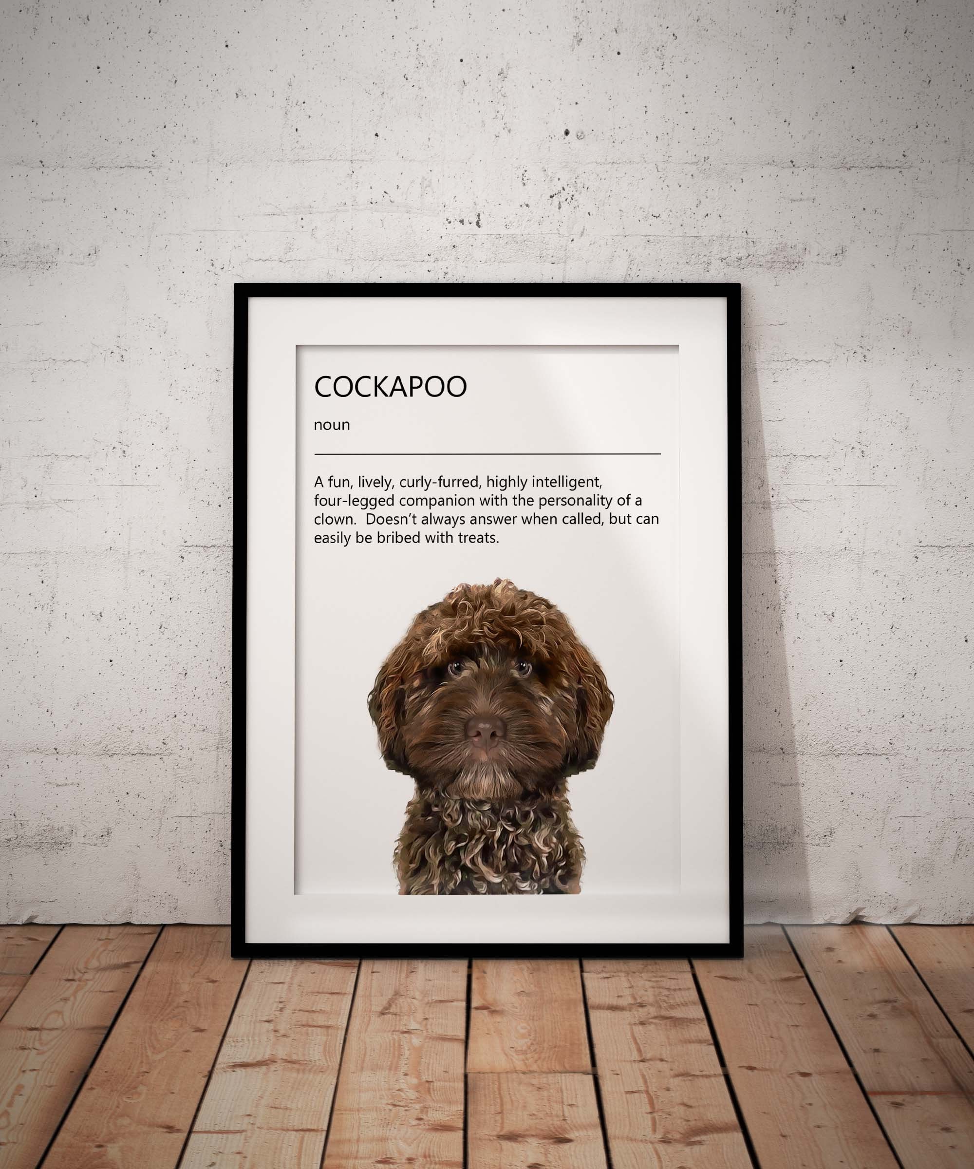 Cockapoo Chocolate Brown