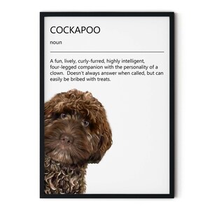 Cockapoo Definition Art Print, Cute, Fun Peeking Chocolate Brown ...
