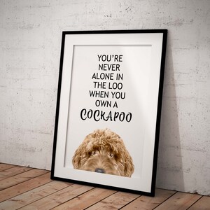 Cute, Fun Peeking Golden Tan Cockapoo Giclée Art Print With White ...