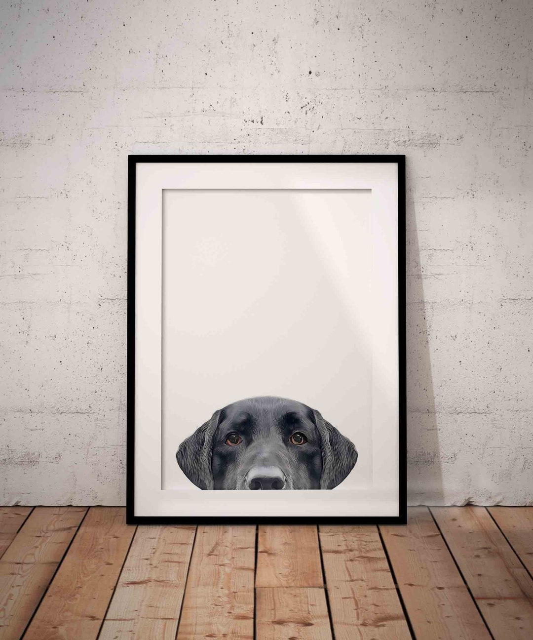 Older Black / Grey Peeking Labrador Giclée Art Print With White ...