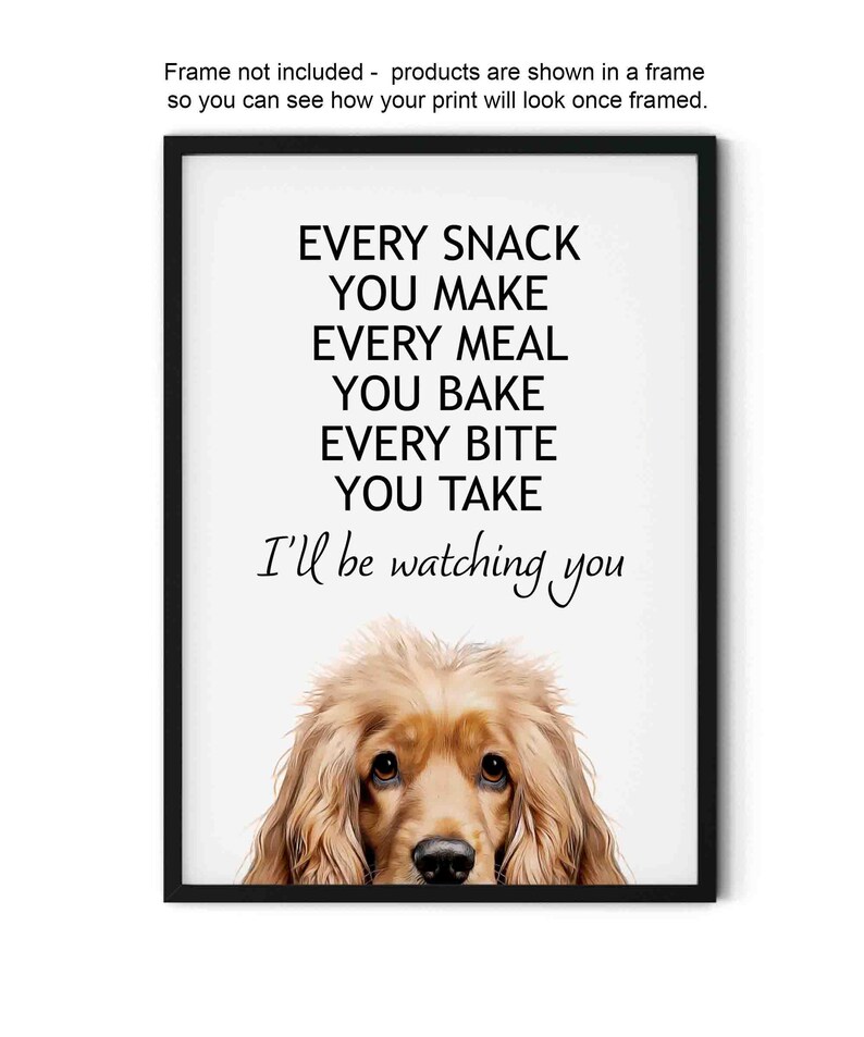 Cute Begging Golden Show Cocker Spaniel Giclée Art Print With White ...