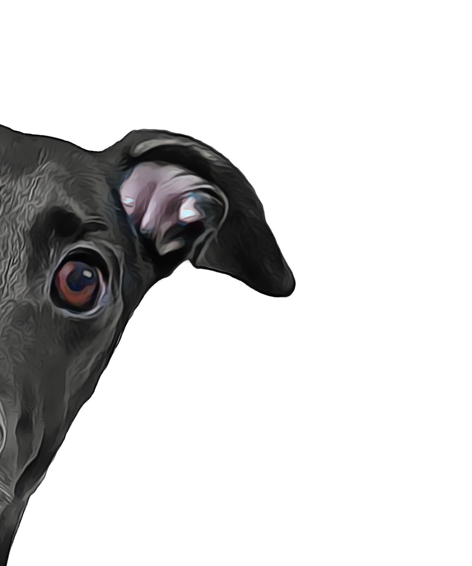 Cute Peeking Black Greyhound Whippet Giclée Art Print With - Etsy