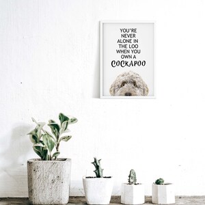 Cute, Fun Peeking Blonde Cockapoo Giclée Art Print With White ...