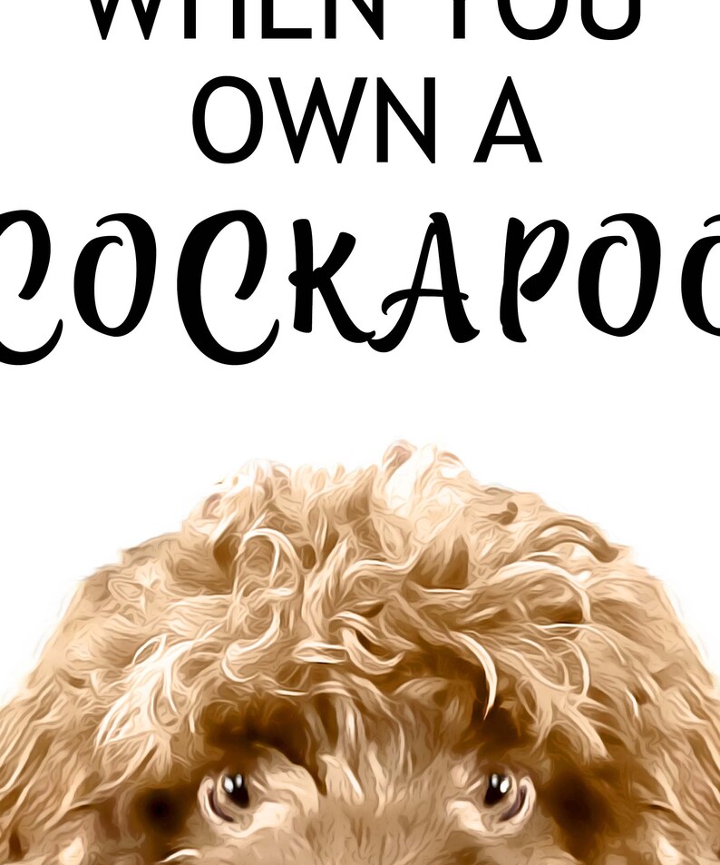 Cute Fun Peeking Golden Tan Cockapoo Giclée Art Print With - Etsy