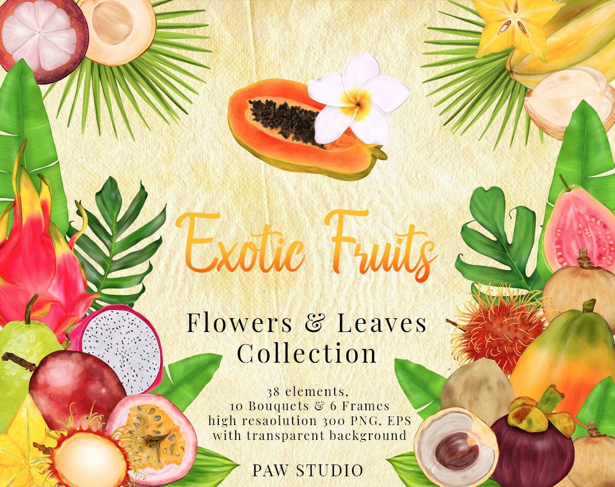 Tropical Fruits Clipart Flowers Palm Leaves Exotic Floral | Etsy