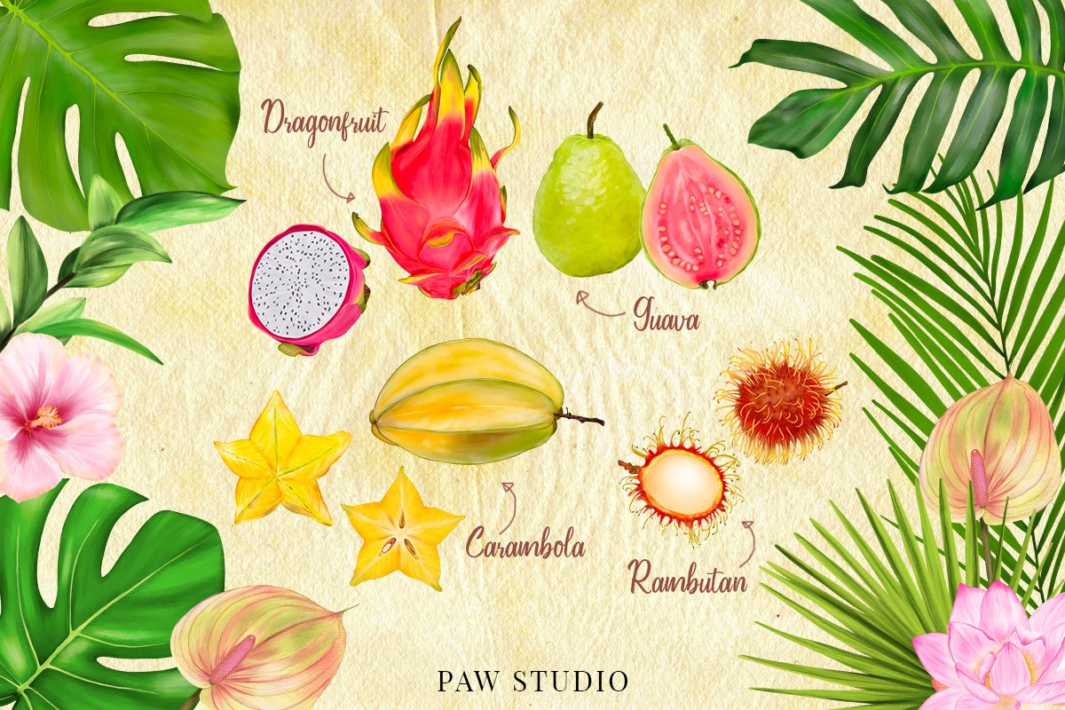 Tropical Fruits Clipart Flowers Palm Leaves Exotic Floral | Etsy