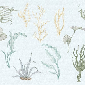 Underwater Clipart Nursery Ocean Summer Clipart Under the Sea Nautical ...
