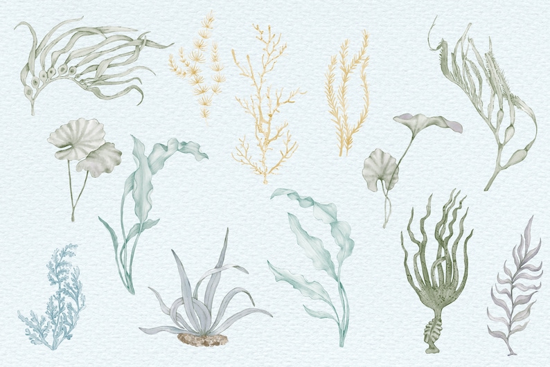 Underwater Clipart Nursery Ocean Summer Clipart Under the Sea Nautical ...