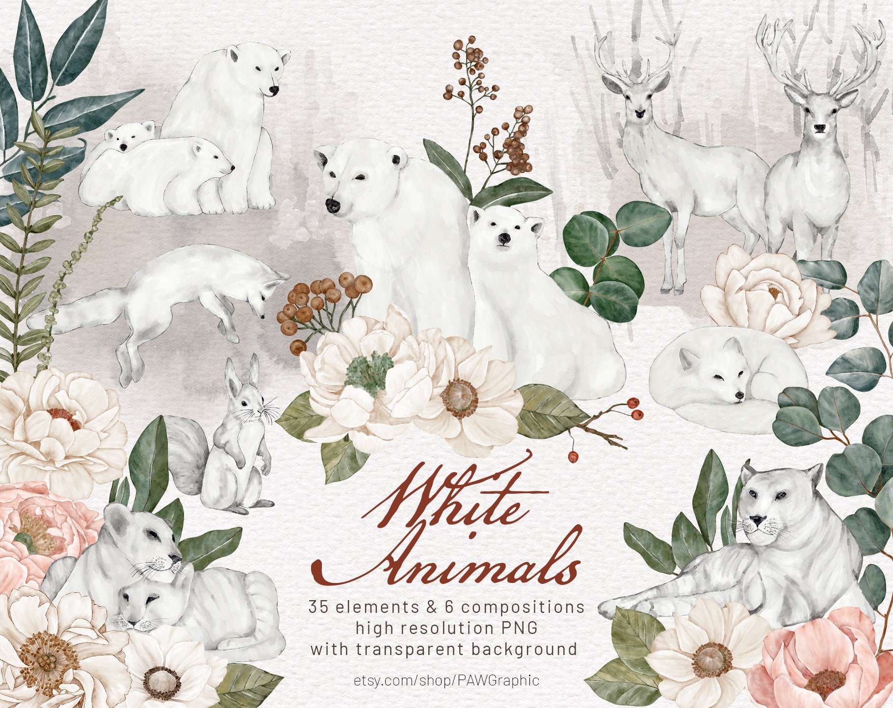 Arctic Flowers Clipart