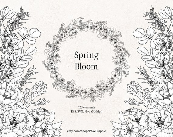 Flower Line Art Floral Frame Clipart Botanical Line Art | Etsy