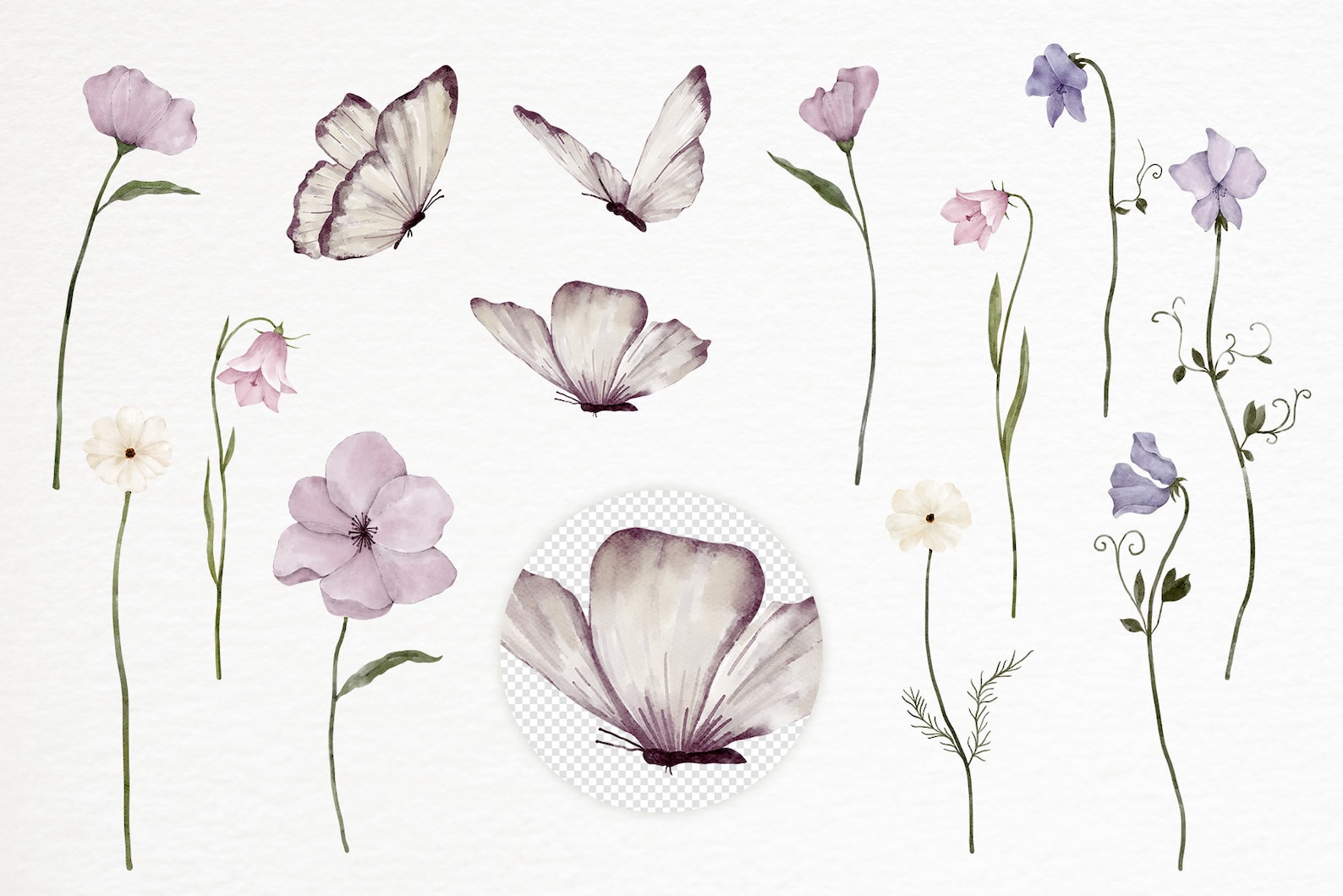 Wildflowers Butterfly Watercolor Clipart. Summer Floral Seamless ...