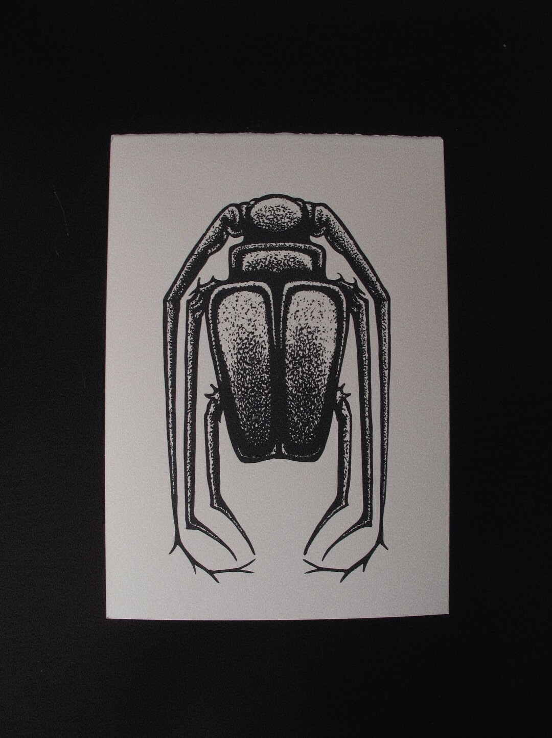 Linocut Print of Insect | Relief Printmaking | - Etsy