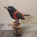 Wood Carved Bird - Etsy