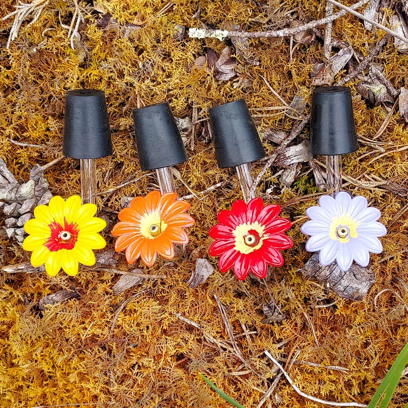 Bottle Bird Feeder - Etsy