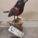 Wood Carved Bird - Etsy