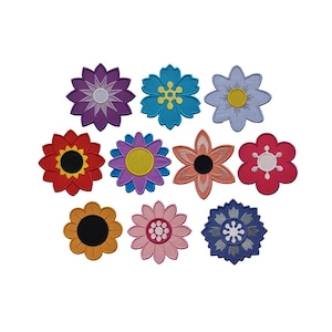 Flowery Applique Set of 10 Machine Embroidery Designs/floral/blossoms ...