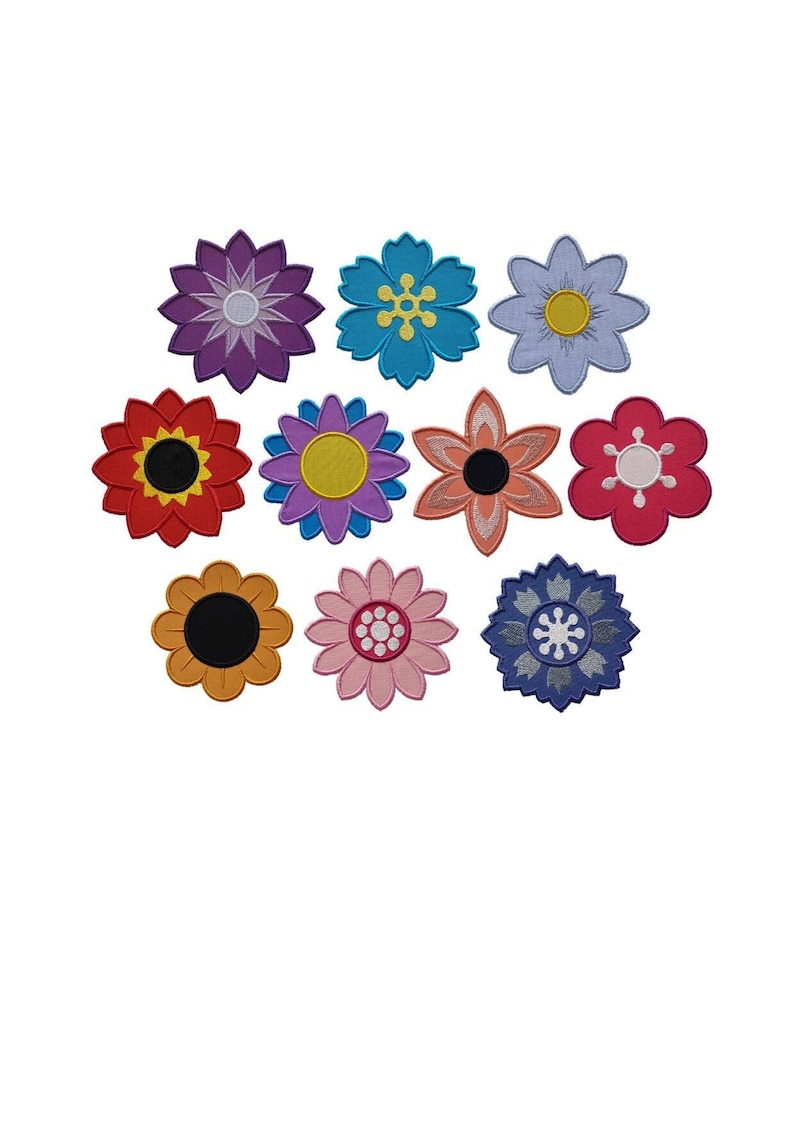 Flowery Applique Set of 10 Machine Embroidery Designs/floral/blossoms ...
