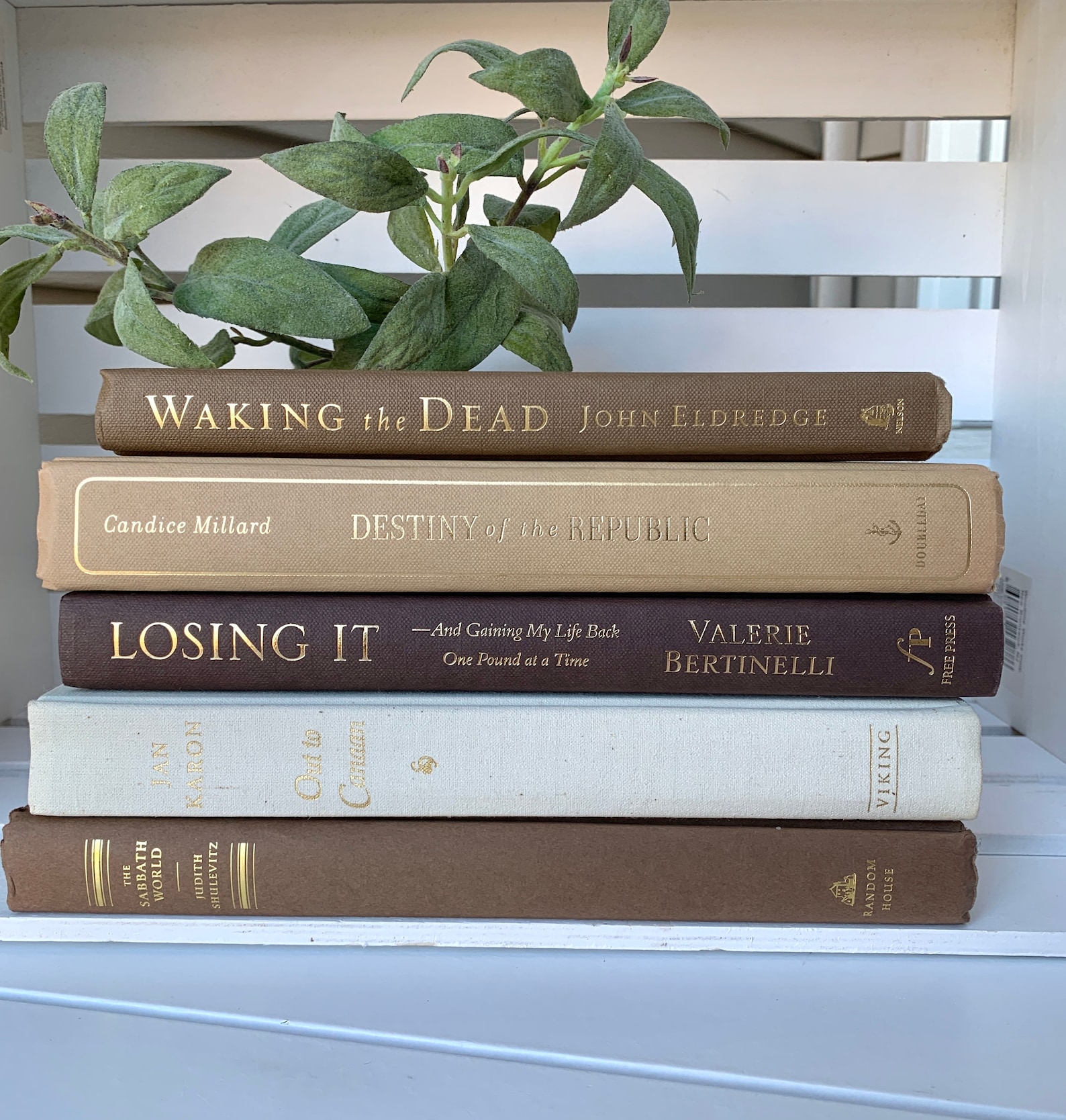 Decorative Books Stack Bundle of White, Beige, Cream, Tan, Brown, Gold ...