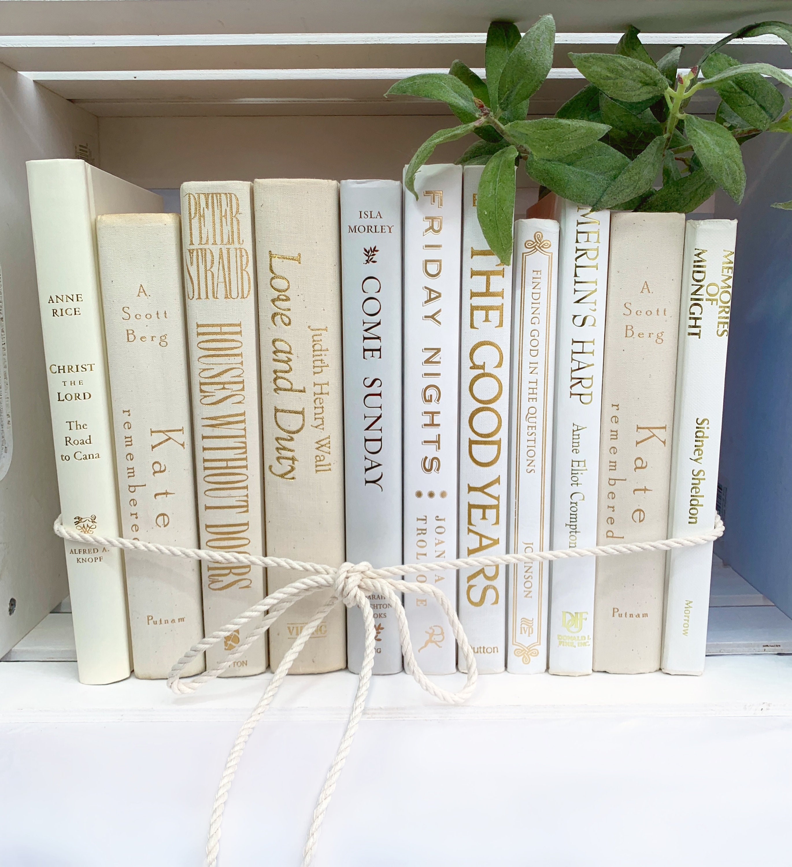 Custom Decorative Book Stacks: Real Hardcover Books by Color - Etsy