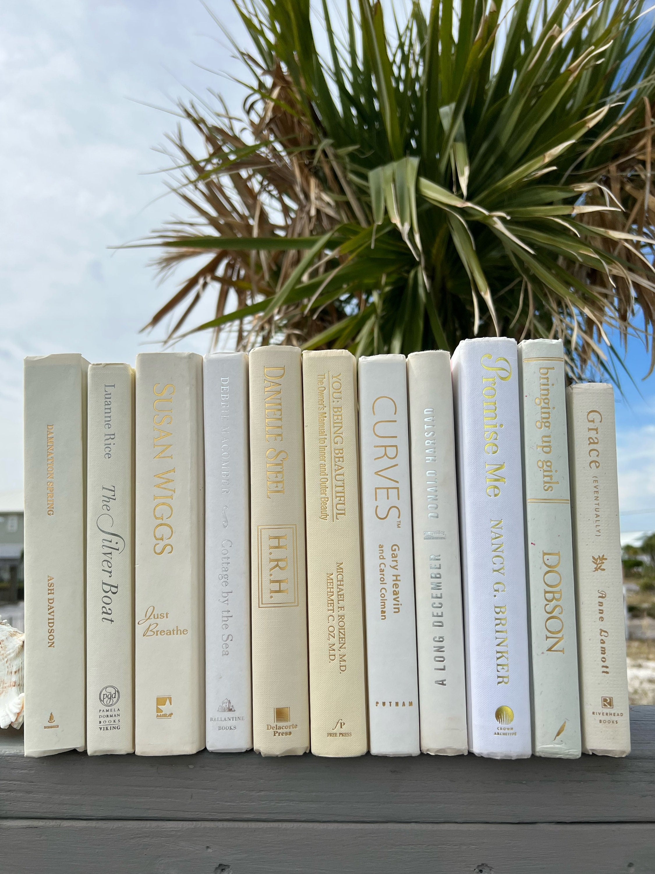 Neutral Decorative Book Stack: Beige, Ivory, & Off-white Bookshelf ...