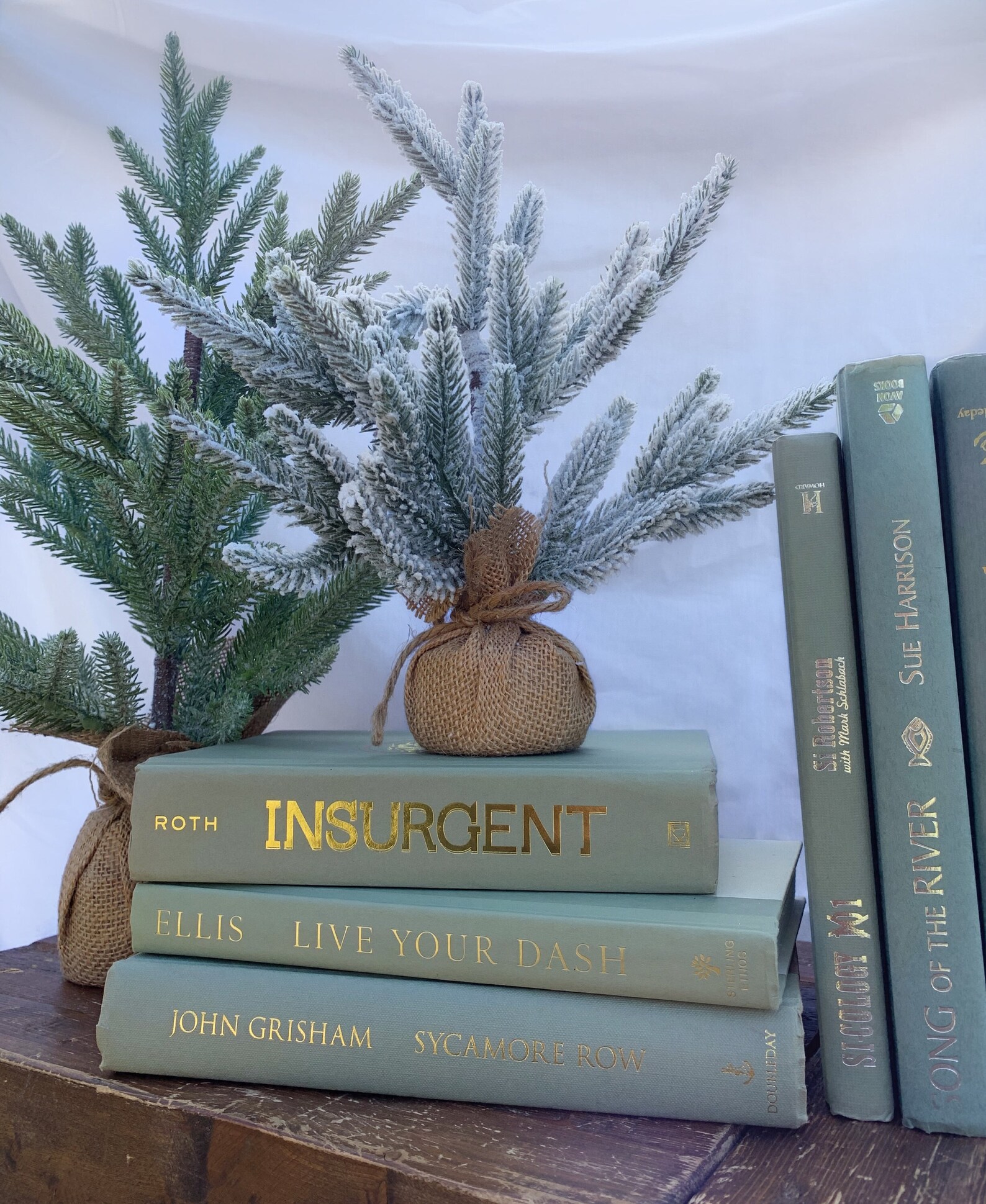 Sage Green Decor Decorative Books Bundle of Grey Pale - Etsy