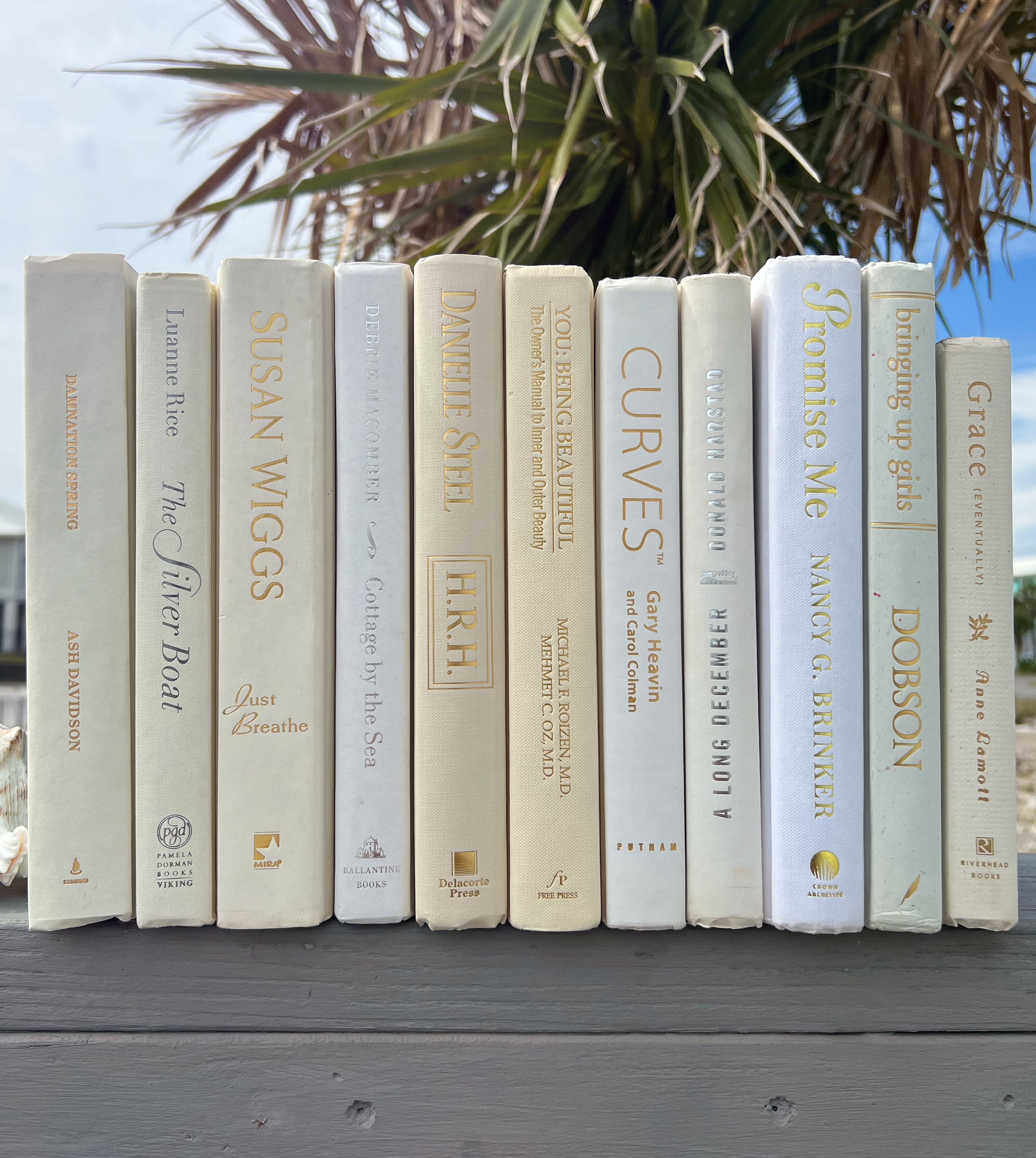 Neutral Decorative Book Stack: Beige, Ivory, & Off-white Bookshelf ...