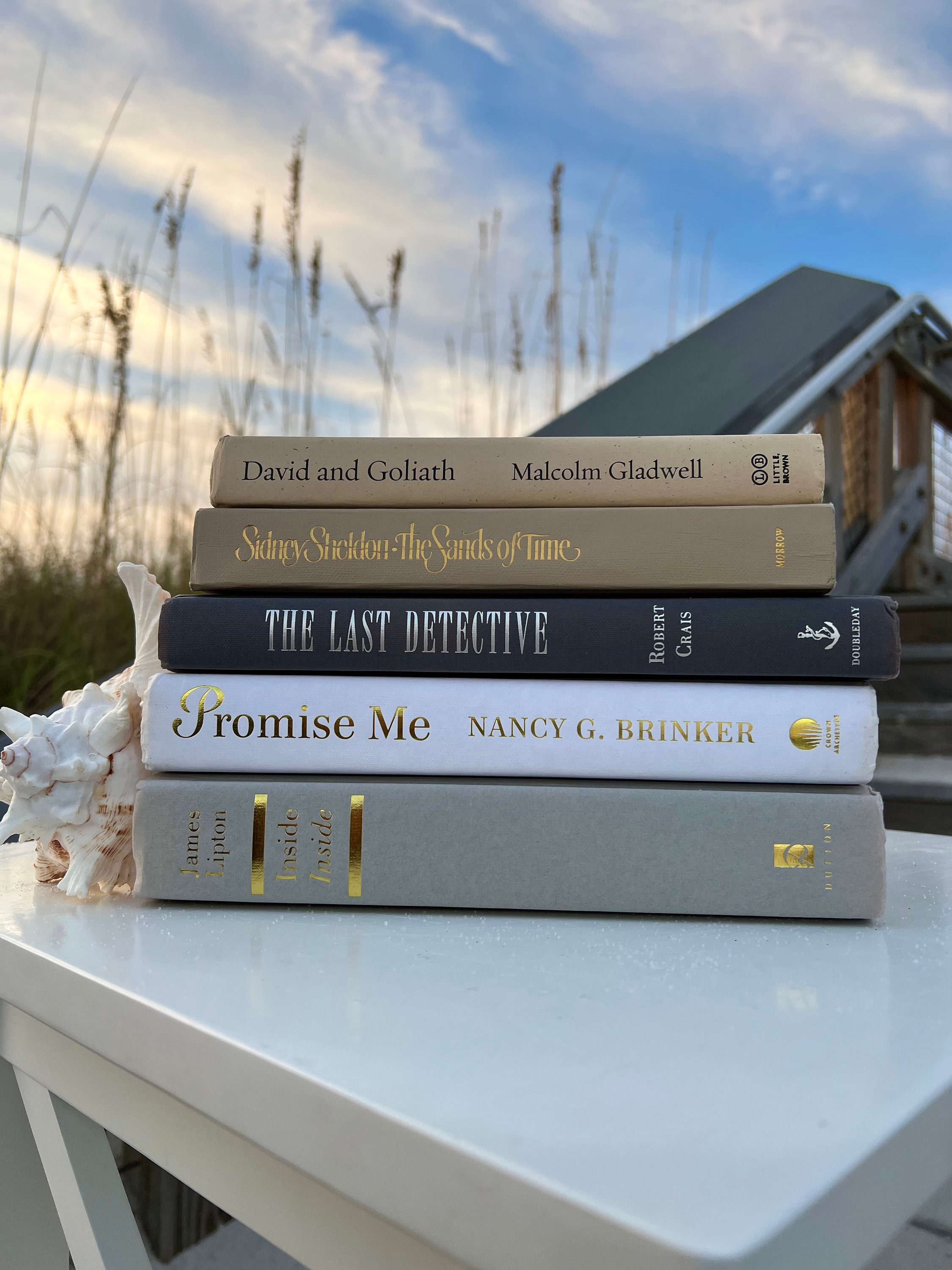 Neutral Earth Tone Book Bundle: Decorative Home Staging Books - Etsy