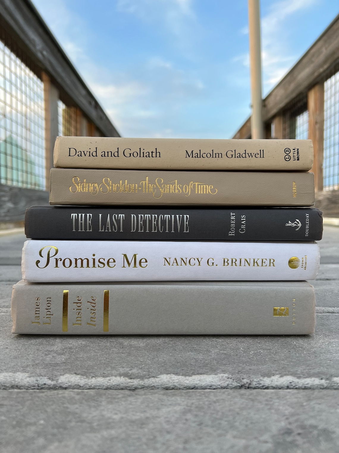 Neutral Earth Tone Book Bundle: Decorative Home Staging Books - Etsy
