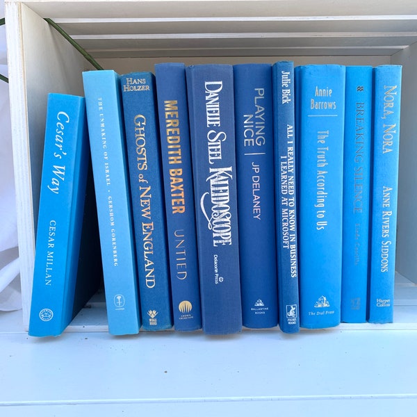 Blue Book Stack - Etsy