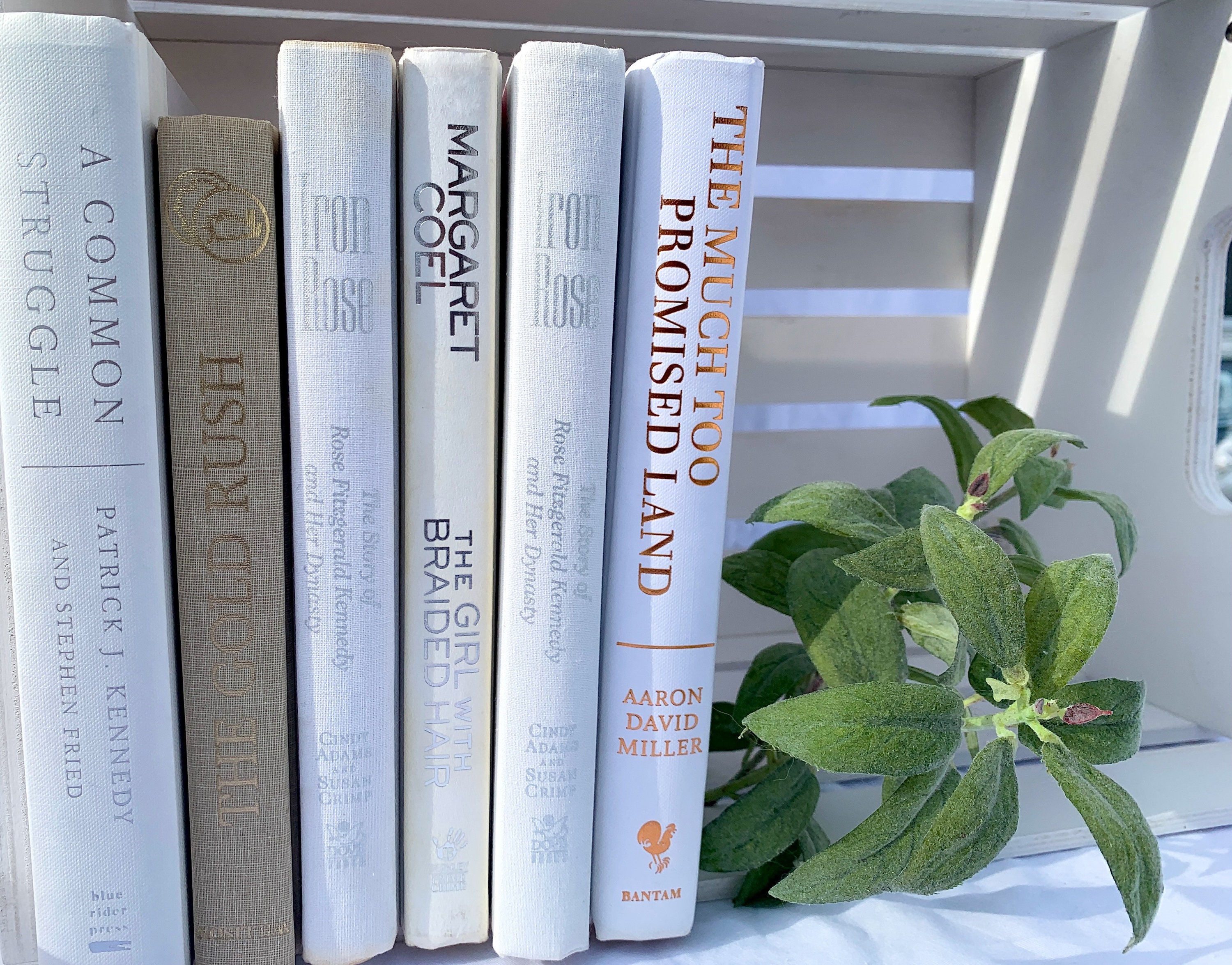 Neutral Earth Tone Book Bundle: Decorative Home Staging Books - Etsy