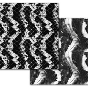 Black and White Snake Skin Seamless Textures, Commercial Use - Etsy