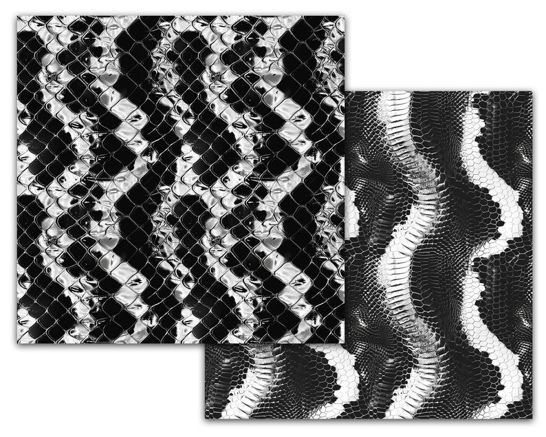 Black and White Snake Skin Seamless Textures, Commercial Use - Etsy