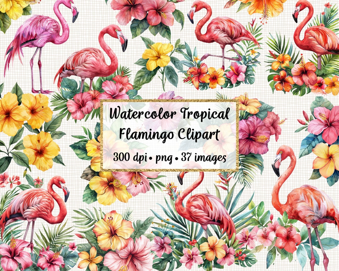 Watercolor Tropical Flamingo Clipart, Commercial Use - Etsy