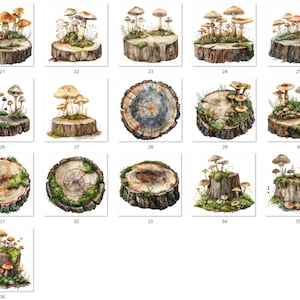 Watercolor Mushrooms, Moss and Wood Clipart, Commercial Use - Etsy